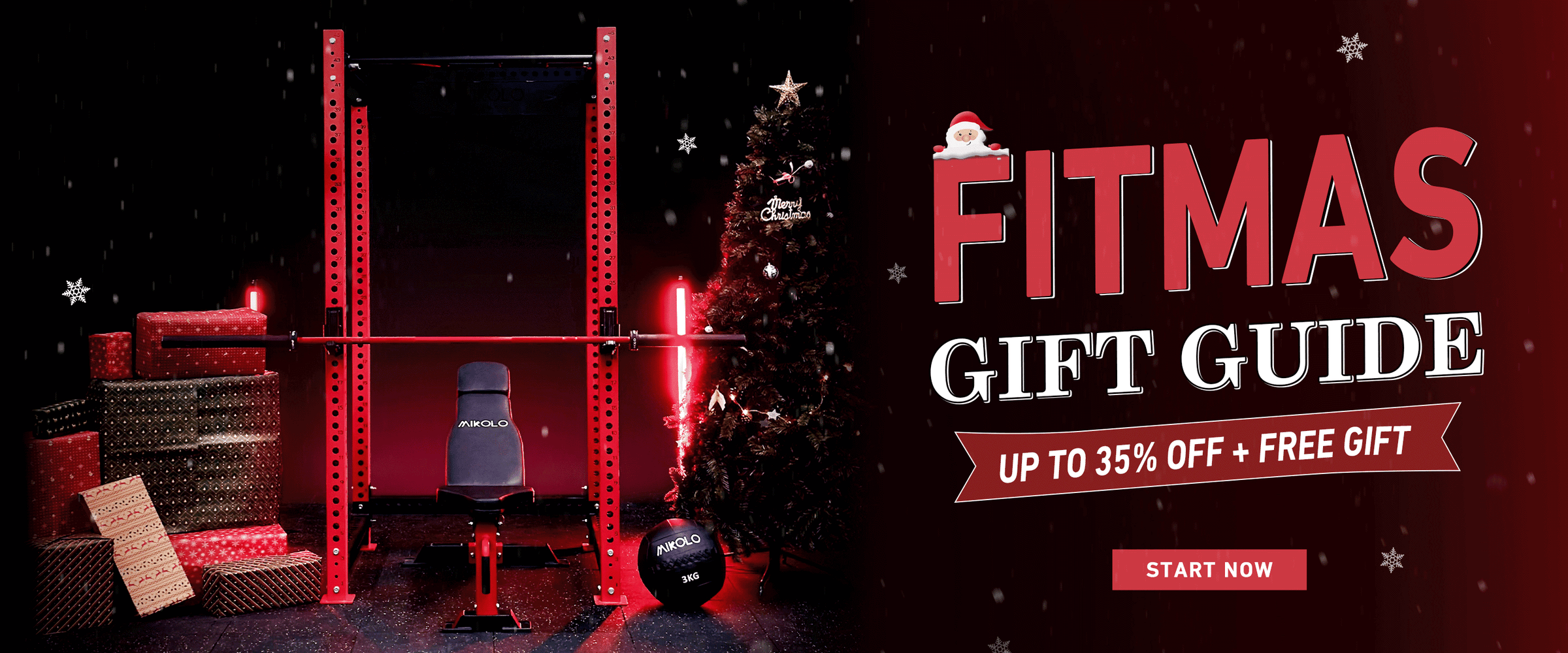 Your Home Gym Masters – Mikologym