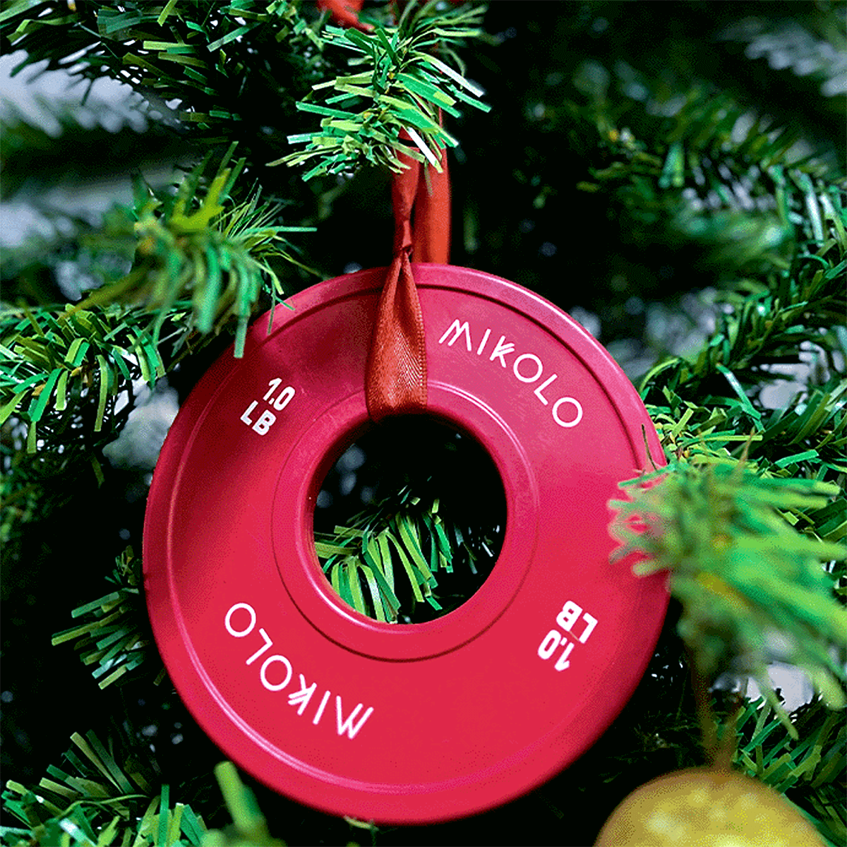 Your Home Gym Masters – Mikologym